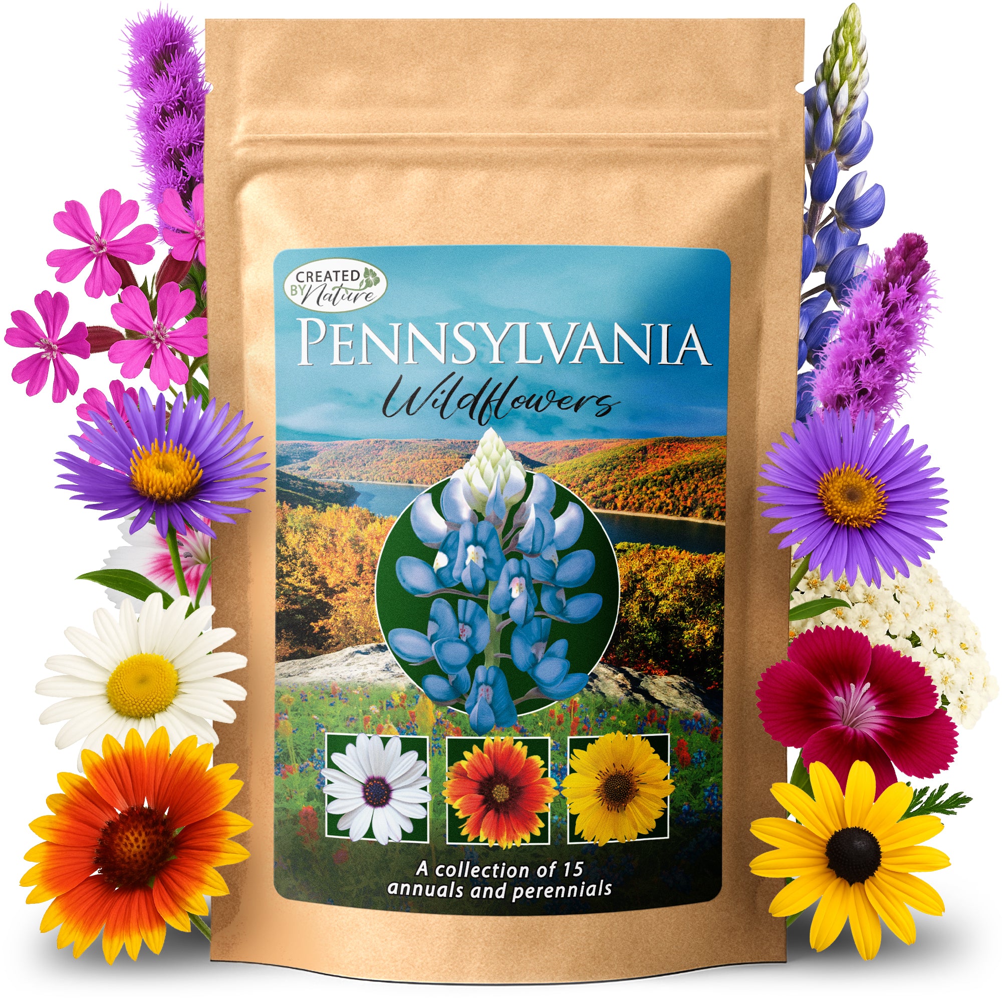 Pennsylvania Wildflower Seeds | Created By Nature