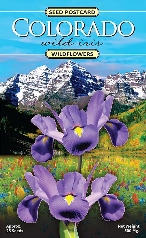 Colorado Wildflower Seeds | Created By Nature
